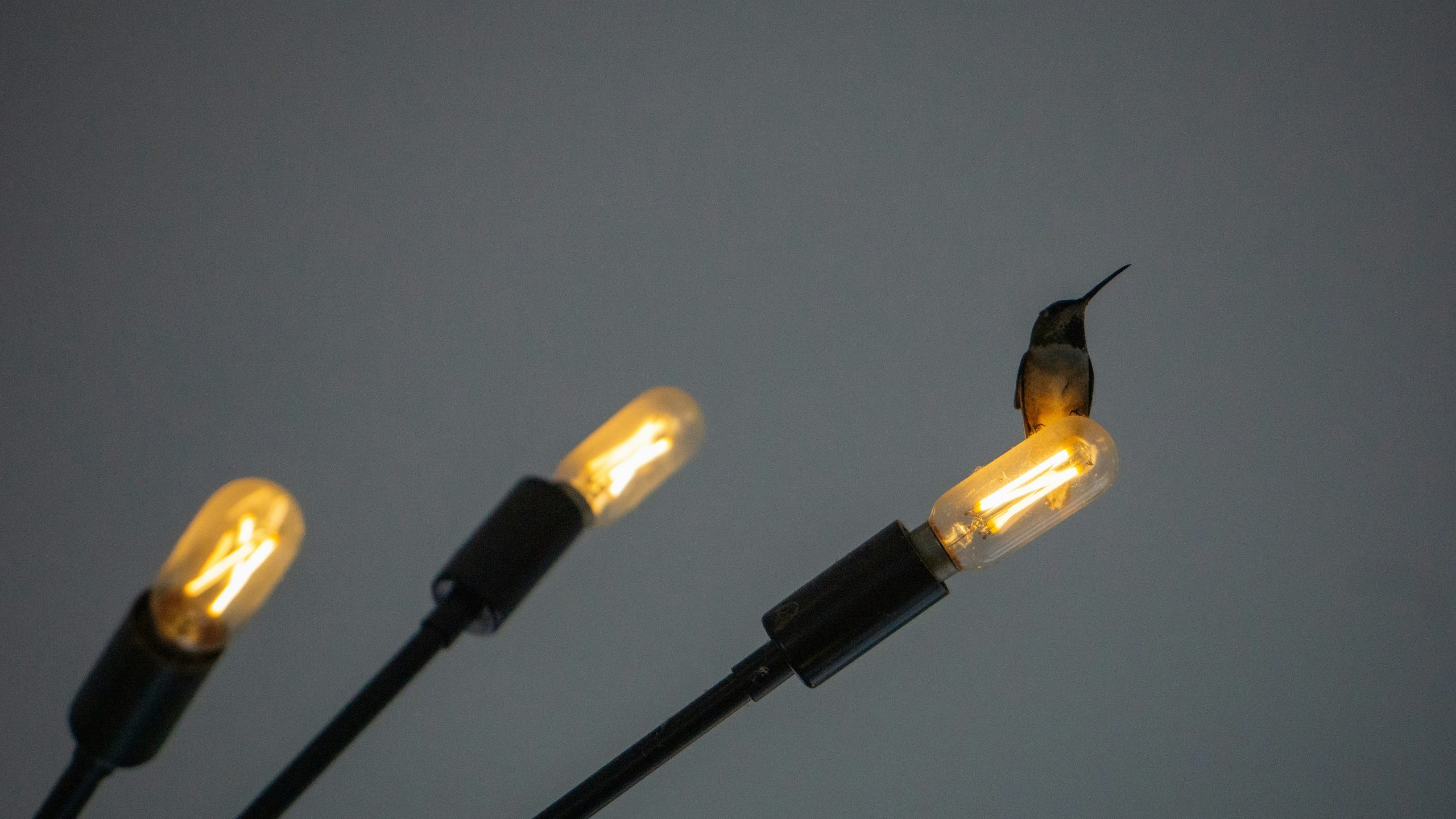 Pros and Cons of LED & Fiber Optic Lighting - Linden Photonics Inc