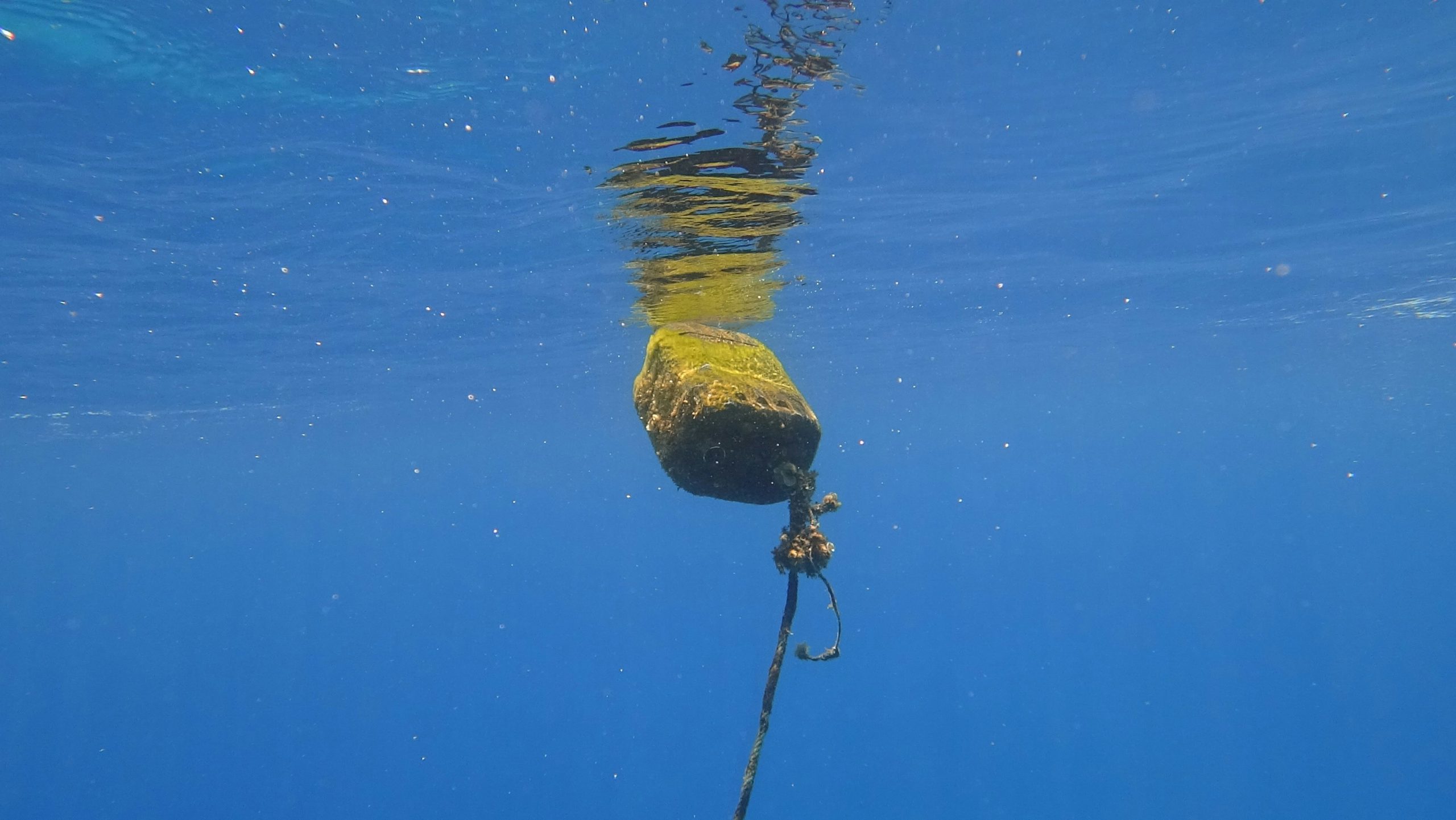 Challenges in ROV Tether Management and How to Overcome Them - Linden ...